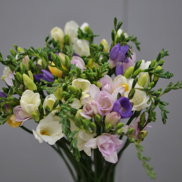 Comandă Frezia Online / Flori la fir în Chișinău, Moldova