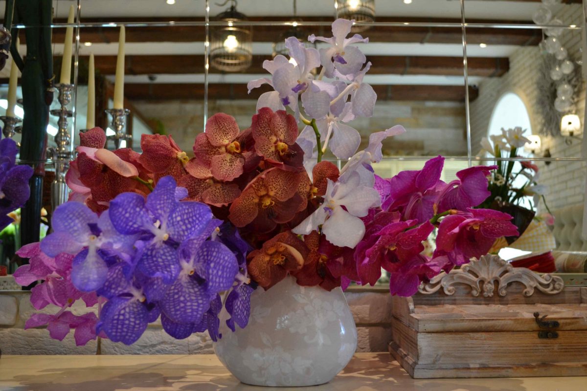 Comandă Orhidee Vanda Online / Flori la fir în Chișinău, Moldova